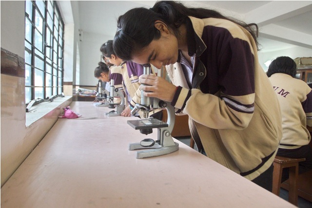 MPVM GG - Worksheet - 2017